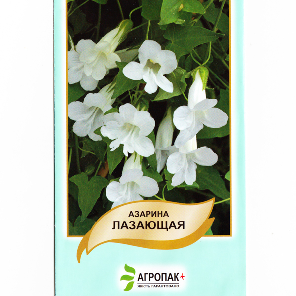 Азарина Ползучая 20 шт АГРОПАК • купить Азарина Ползучая 20 шт АГРОПАК ...